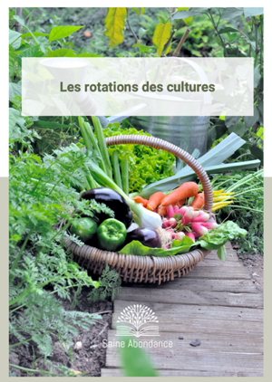 La permaculture n’est pas un sprint des beaux jours, bien au contraire